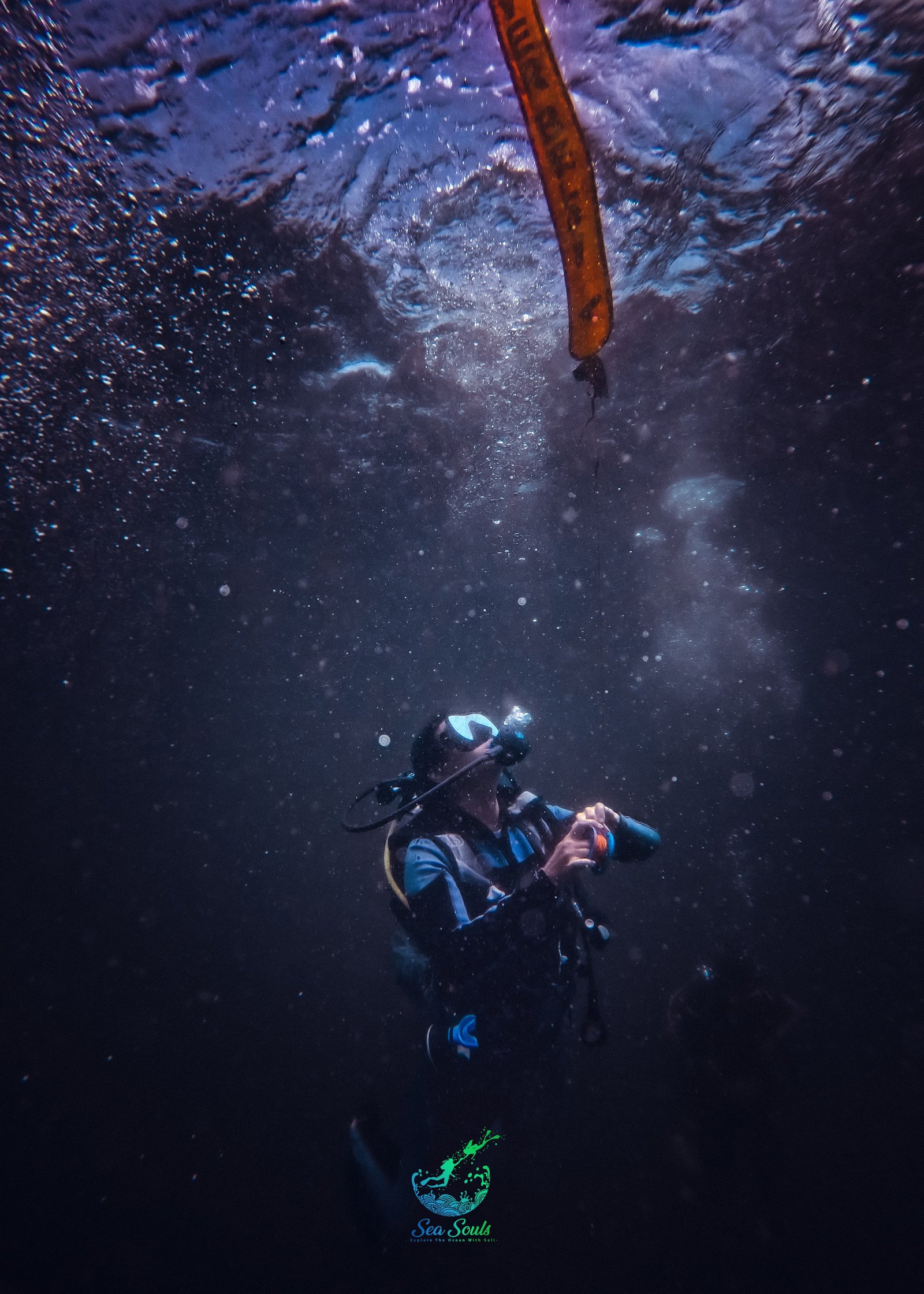 Sea Souls | PADI Scuba Diving Courses in Sri Lanka - Unawatuna ...